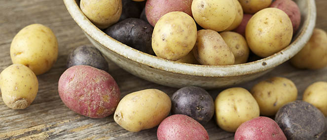 avoiding the stodge - Blackmores