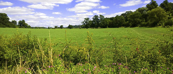 green space and green exercise - Blackmores