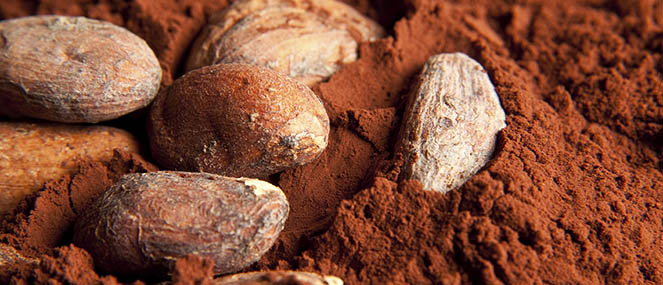 Holy Cacao! Could chocolate be good for digestion? - Blackmores