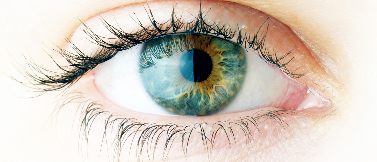 How to maintain macular health - Blackmores