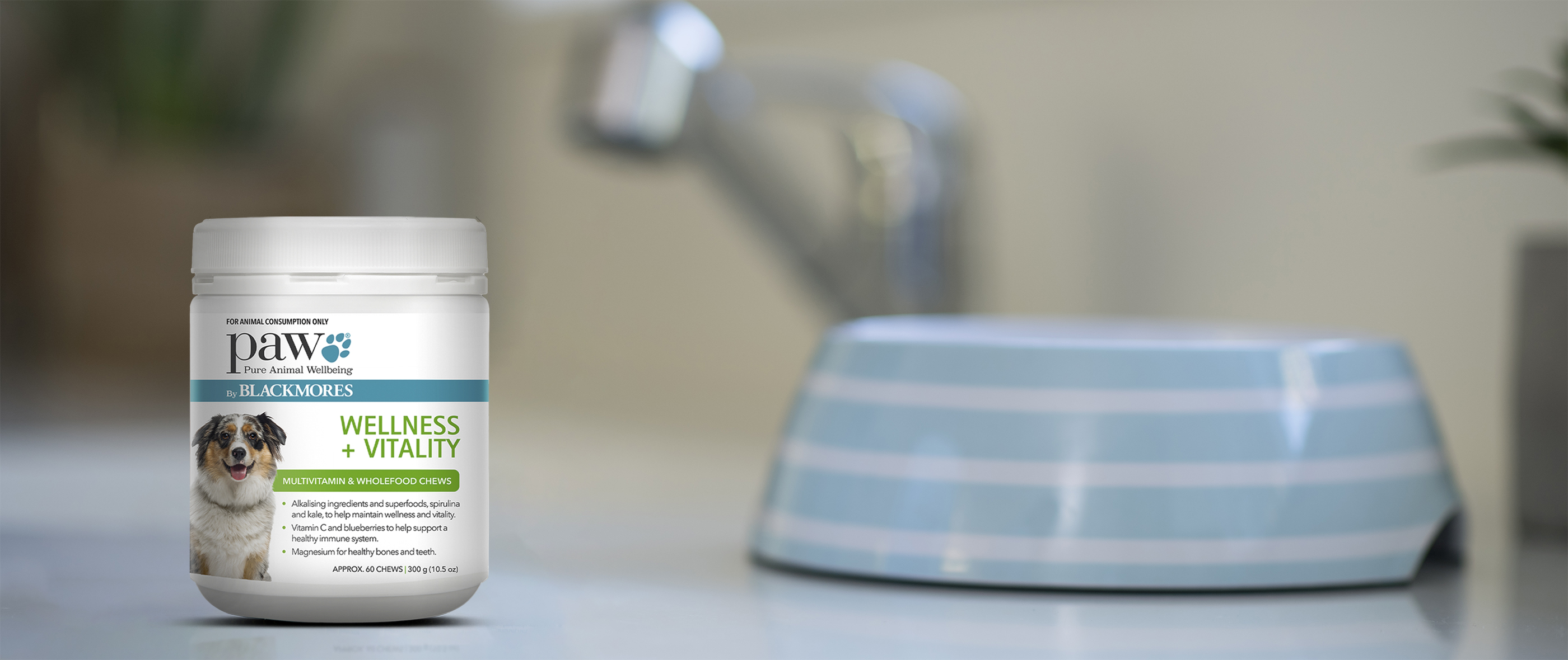 Health and Vitality - PAW by Blackmores