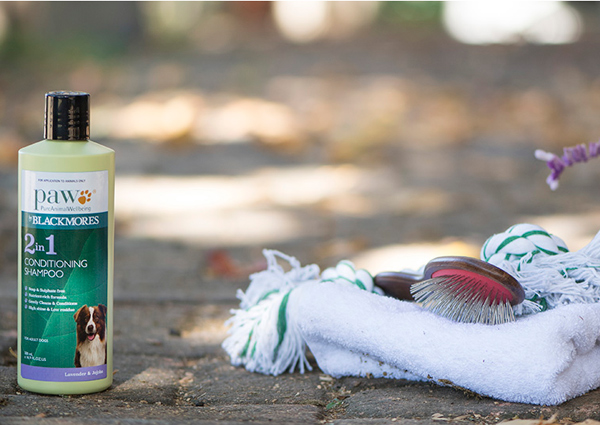 Dog shampoo and conditioner - 2 in 1 from PAW by Blackmores - PAW by ...